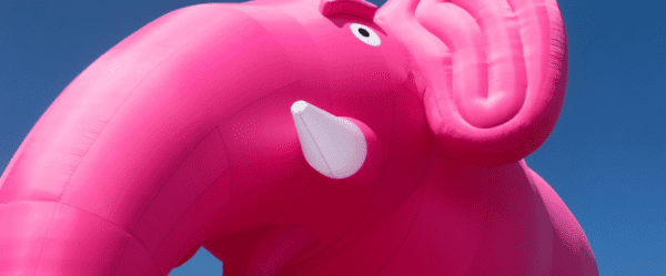 Inflatable Animals - Instent